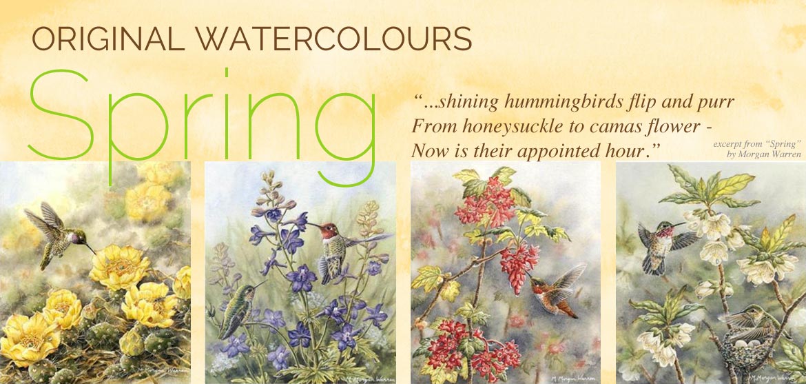 Morgan Warren watercolor artist Pender Island BC - Morgan Warren
